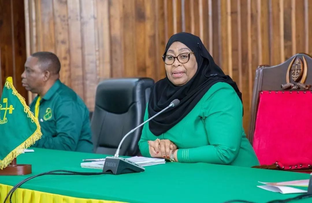 RAIS SAMIA AONGOZA HALMASHAURI KUU YA CCM JIJINI DODOMA - Tanzania Leo